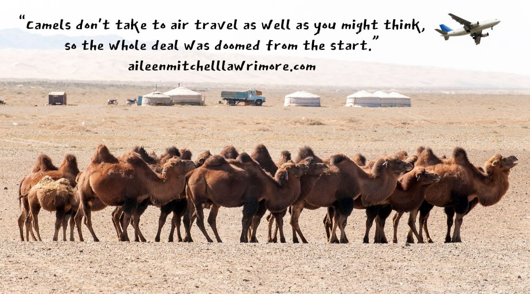 30 Egyptian Camels? - Aileen Mitchell Lawrimore